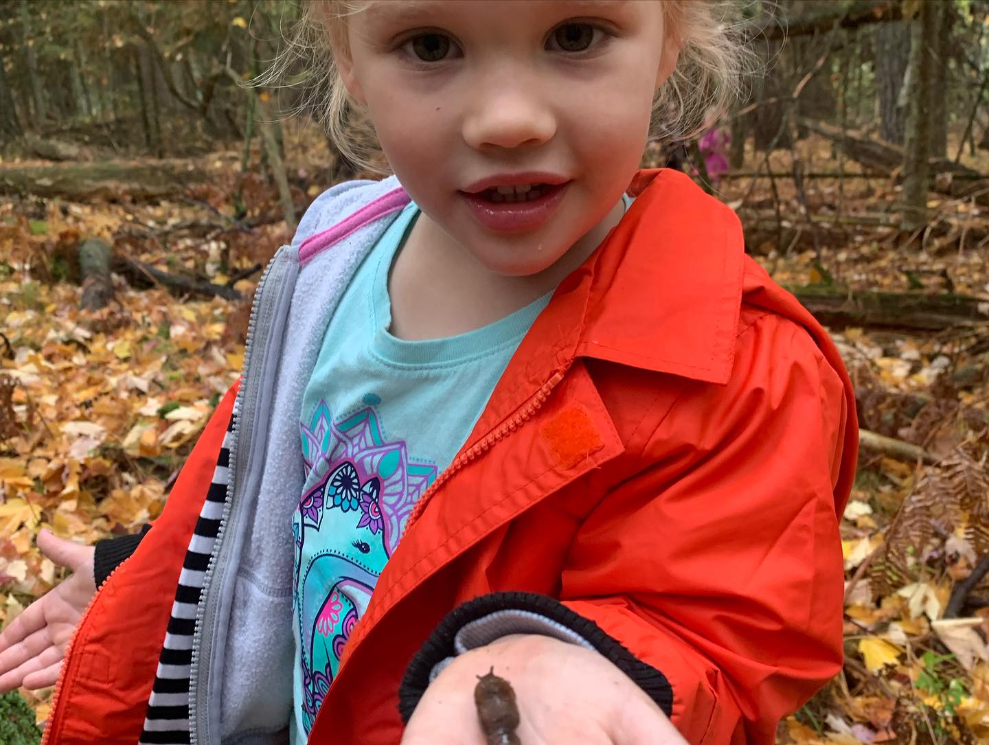 Sundrop Primary School | The Sundrop School