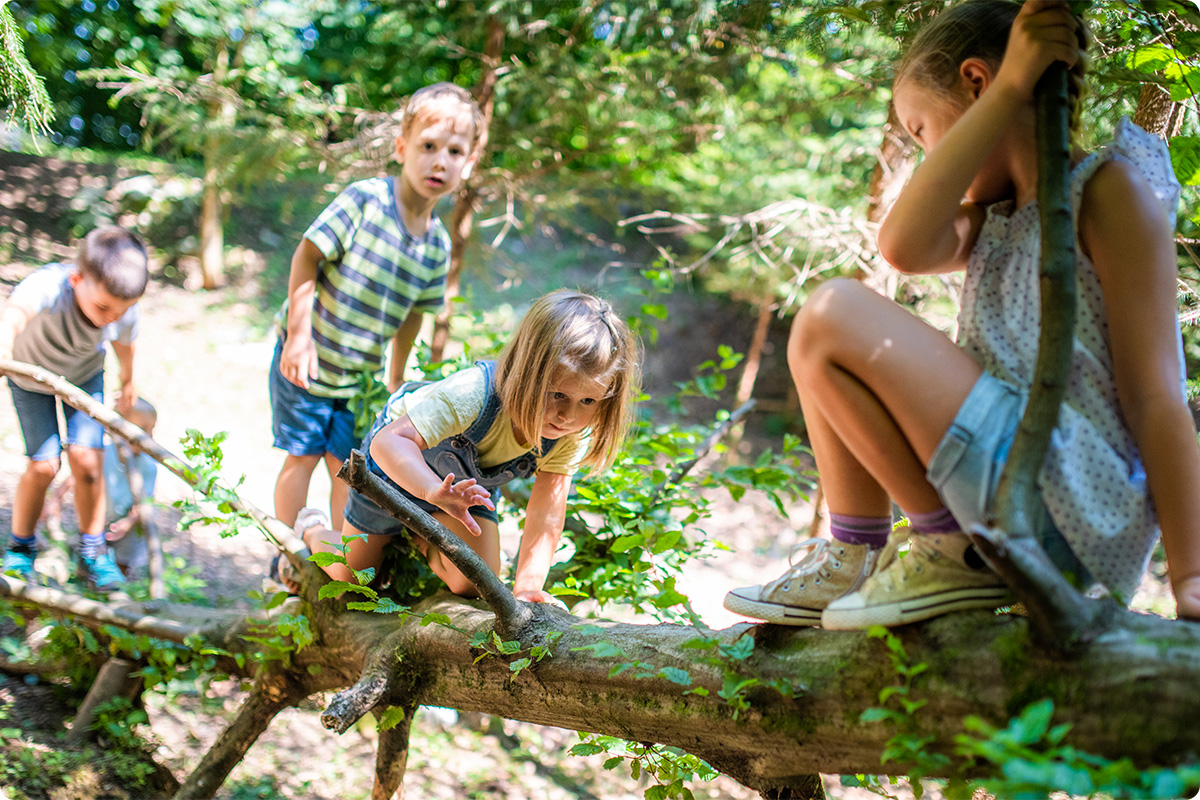 Sundrop Explorers Academy | The Sundrop School